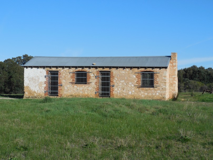 Exploring my own backyard: Yellagonga Regional Park and Cockman House ...
