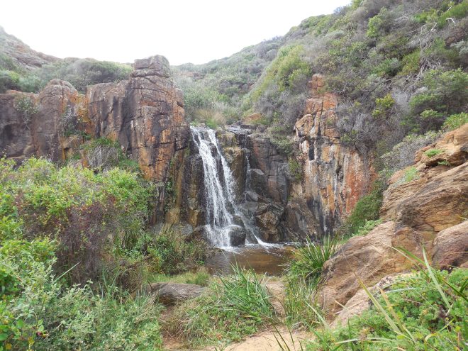 Looking for a new adventure in Yallingup? Explore Quinninup Falls – Let ...