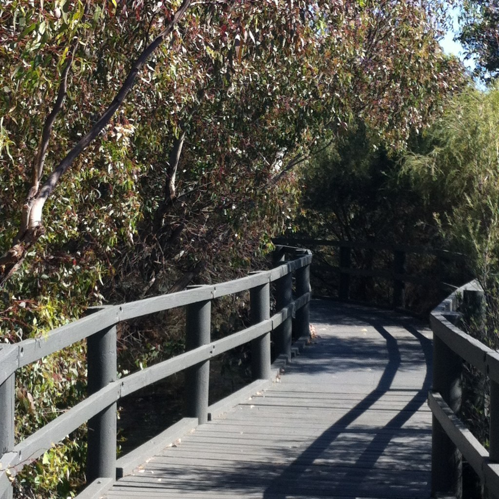 10 Pram friendly walks in nature around Perth – Let Me Be Free