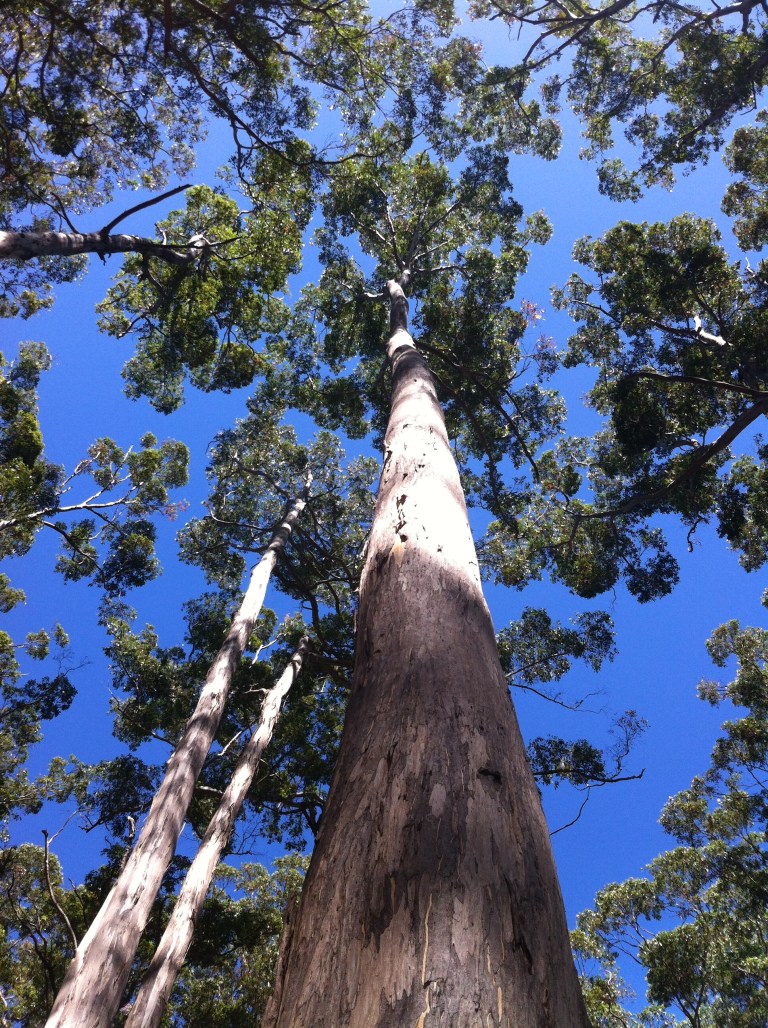 Conto Campground and attractions, Margaret River – Let Me Be Free