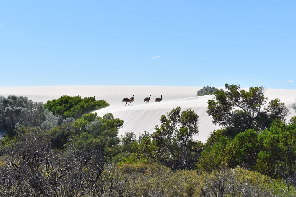 Photo Essay: Australia Day at Sandy Cape – Let Me Be Free